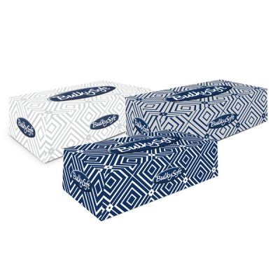 Alpine-Hygiene.ch: Ihr Hygienegrosshandel für Profis in der Schweiz